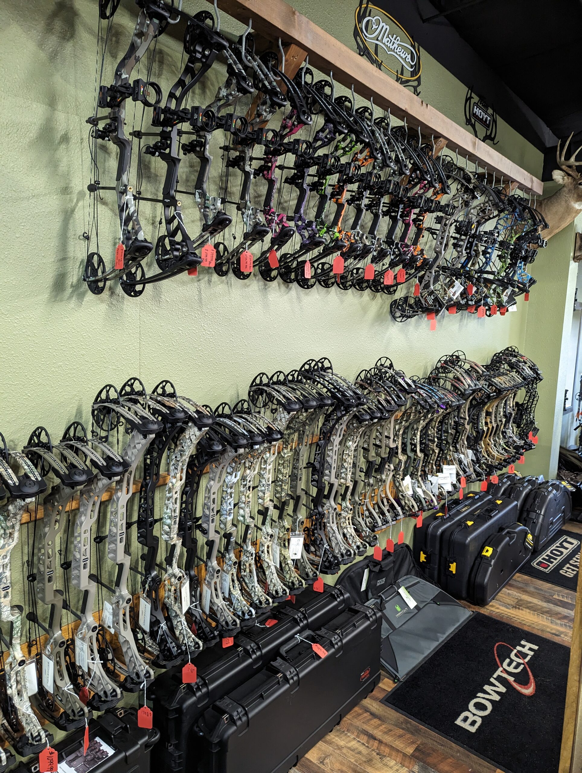 Bucks and Bulls Archery LLC